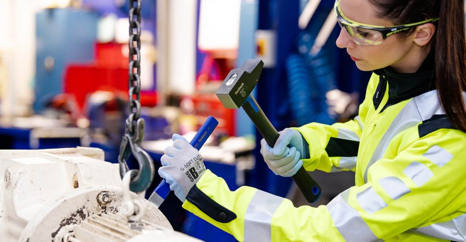 Roebuck: Industrial MRO Products Built since 1830